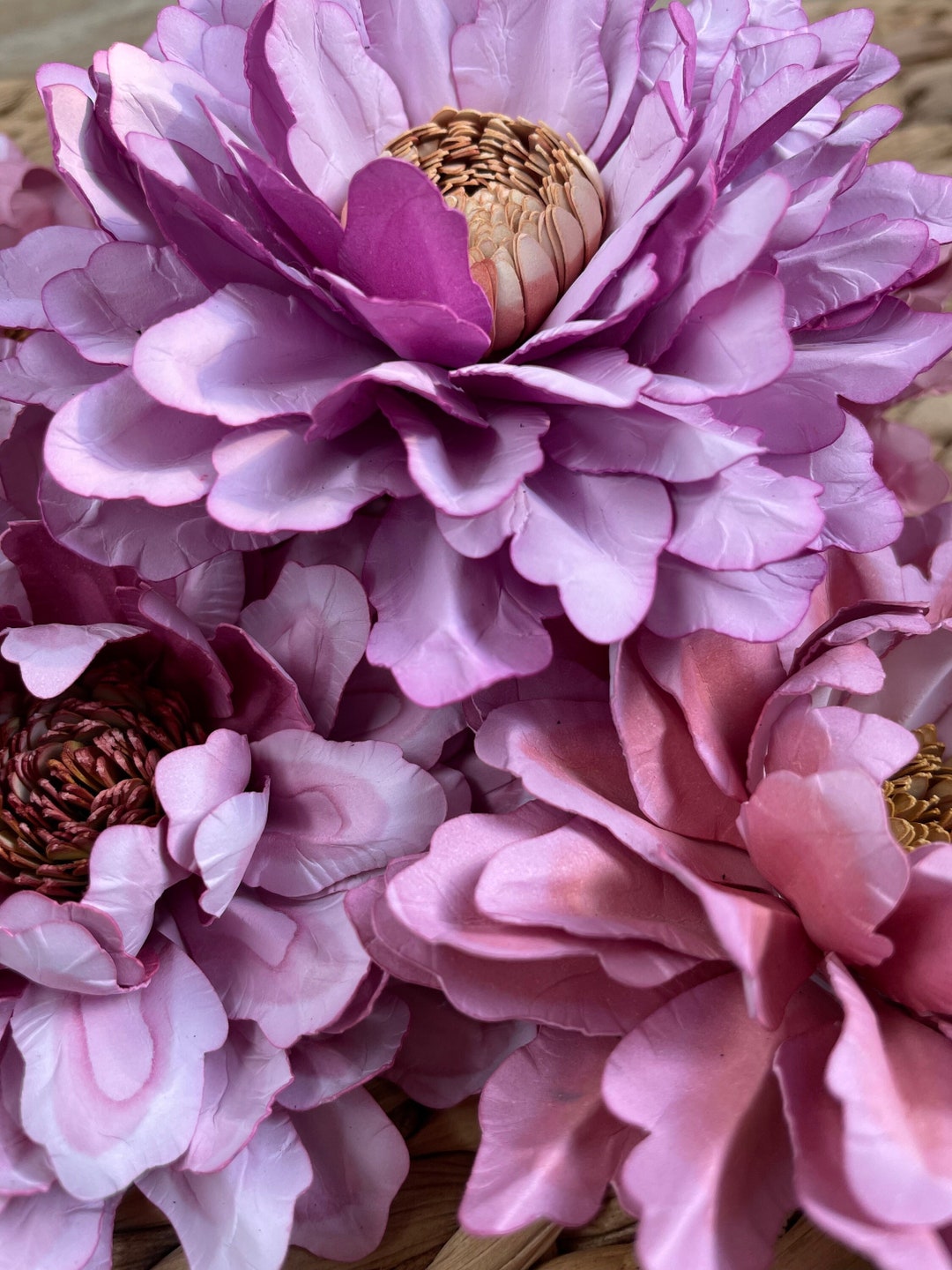 Hilda Flower SVG File for 3D Paper Flowers by CLQ Studios - Etsy