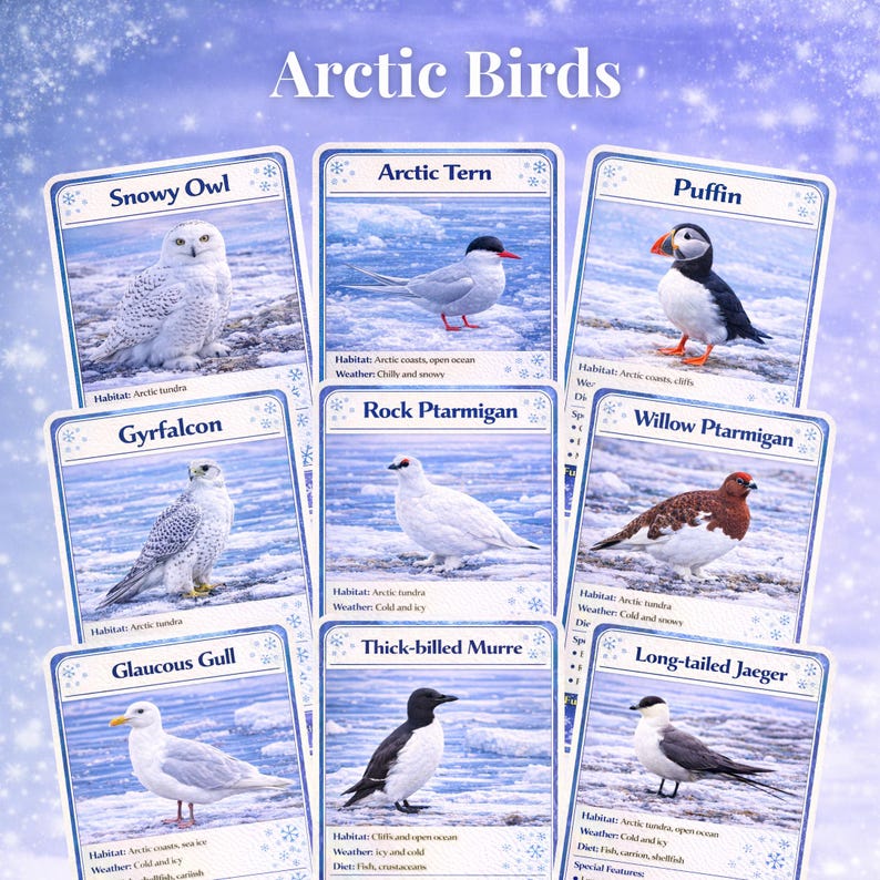 Arctic Animals Flashcards Bundle | 40 Winter Arctic Animal Cards ...