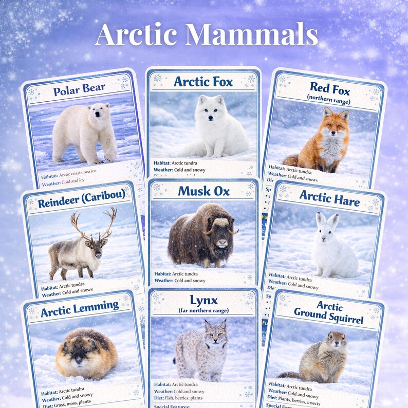 Arctic Animals Flashcards Bundle | 40 Winter Arctic Animal Cards ...