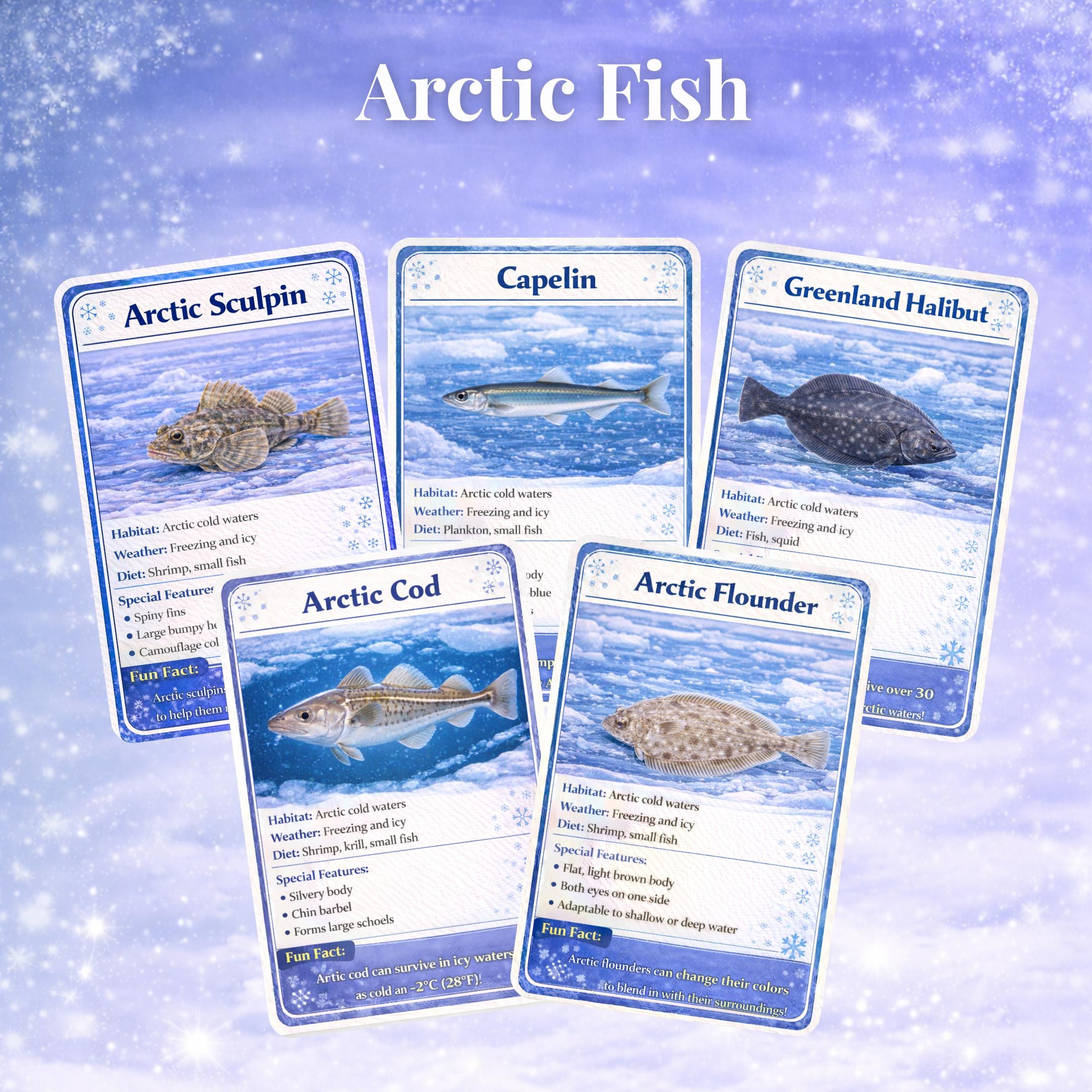 Arctic Animals Flashcards Bundle | 40 Winter Arctic Animal Cards ...