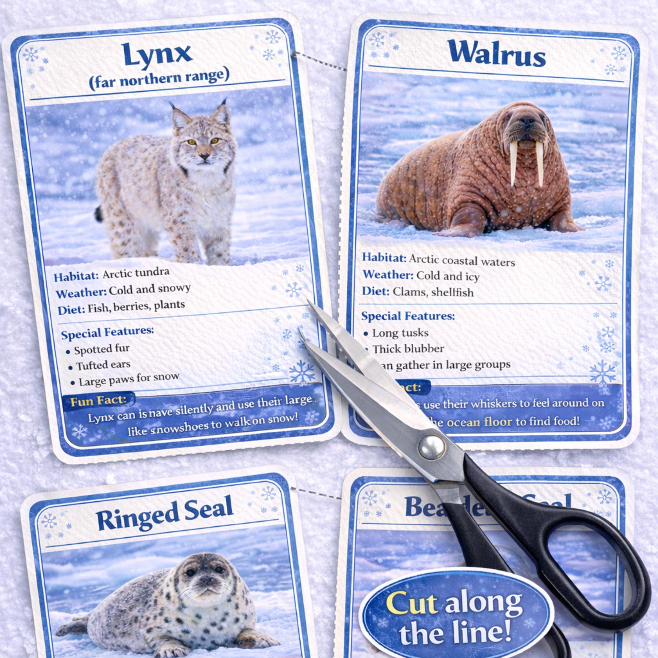 Arctic Animals Flashcards Bundle | 40 Winter Arctic Animal Cards ...