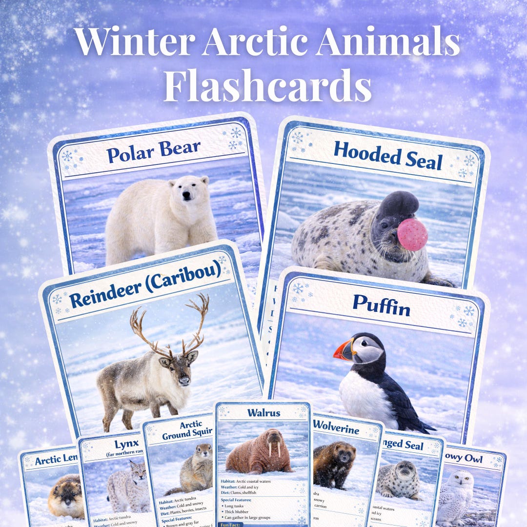 Arctic Animals Flashcards Bundle | 40 Winter Arctic Animal Cards ...