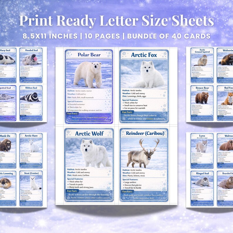 Arctic Animals Flashcards Bundle | 40 Winter Arctic Animal Cards ...
