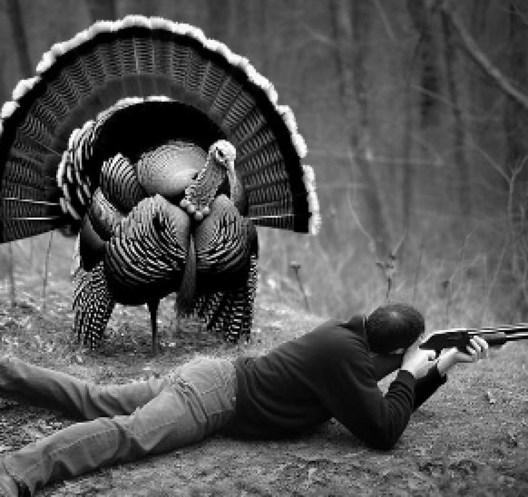 SVG Digital File Turkey Hunt Revenge of the Turkeys Very Sneaky Turkey ...