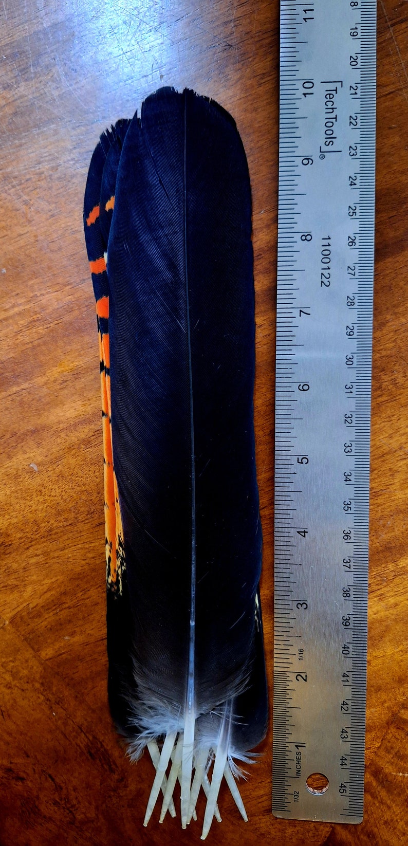 Cockatoo Feathers, Cockatoo Fan, Red Cockatoo, NAC Feathers, Native ...