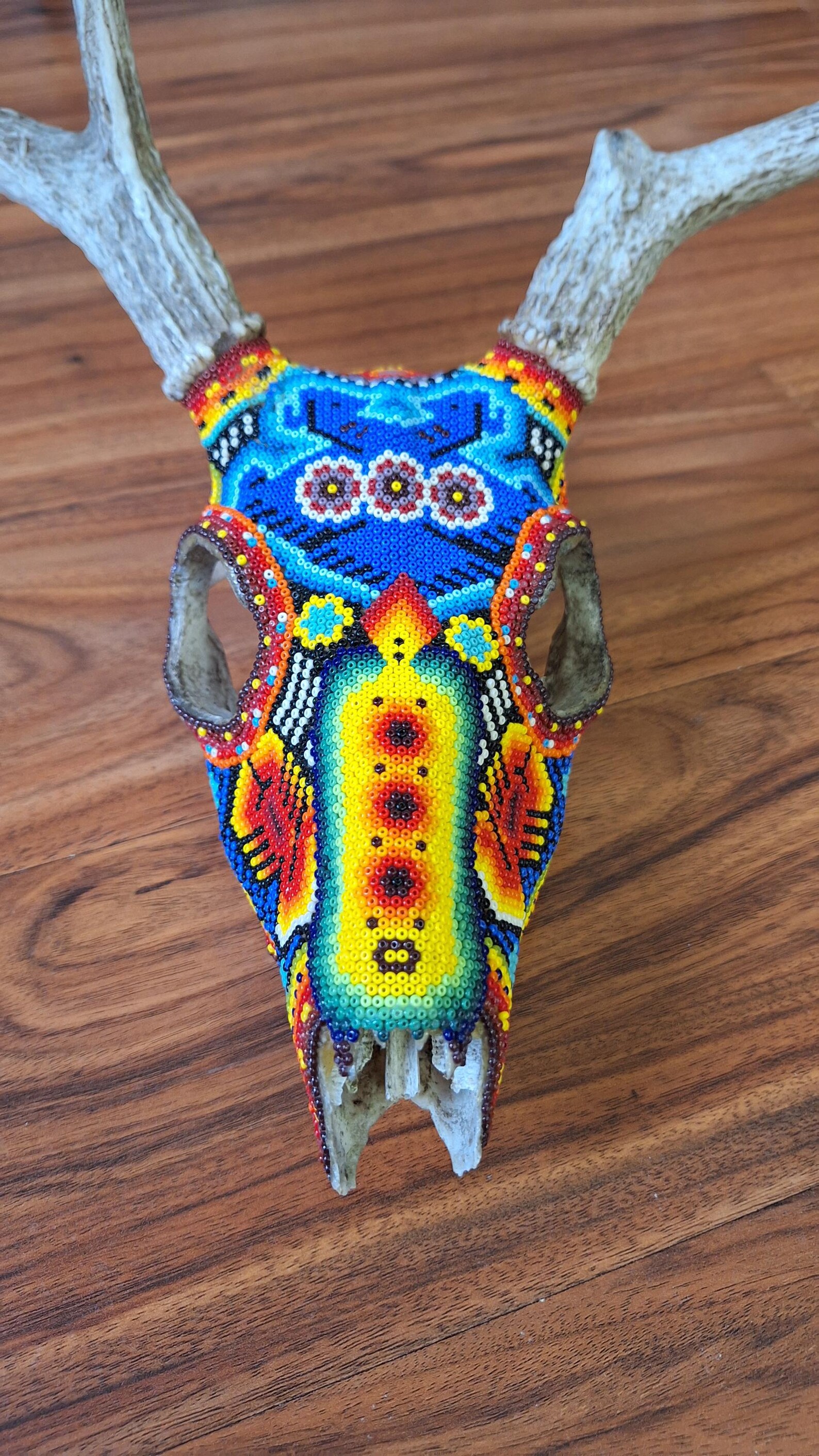 Beaded Deer Skull, Beaded Skull, Deer Skull, Huichol Beaded Deer, Blue ...