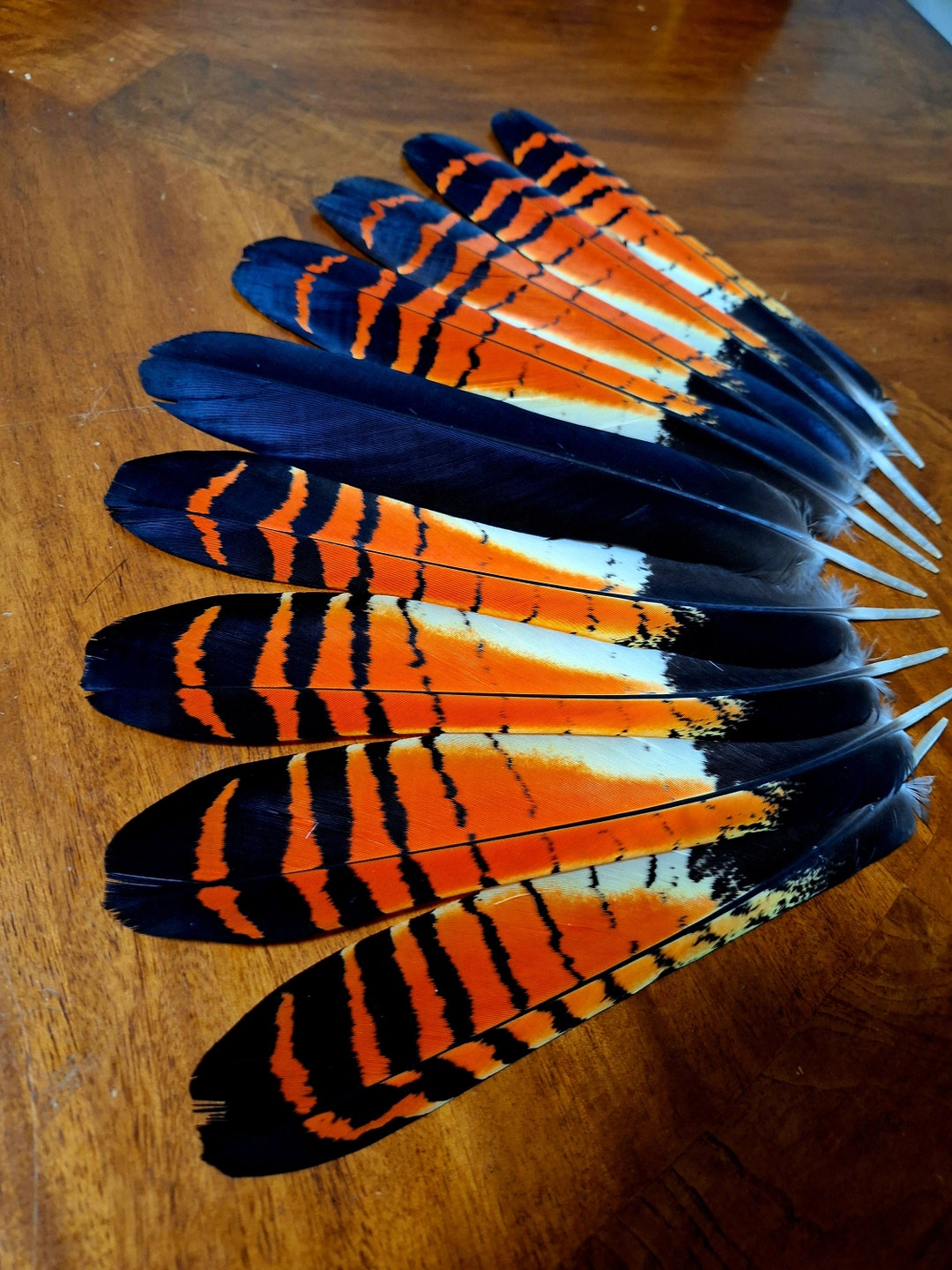 Cockatoo Feathers, Cockatoo Fan, Red Cockatoo, NAC Feathers, Native ...