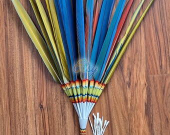 NAC Native American Church Macaw Feather Peyote Prayer Fan - Etsy