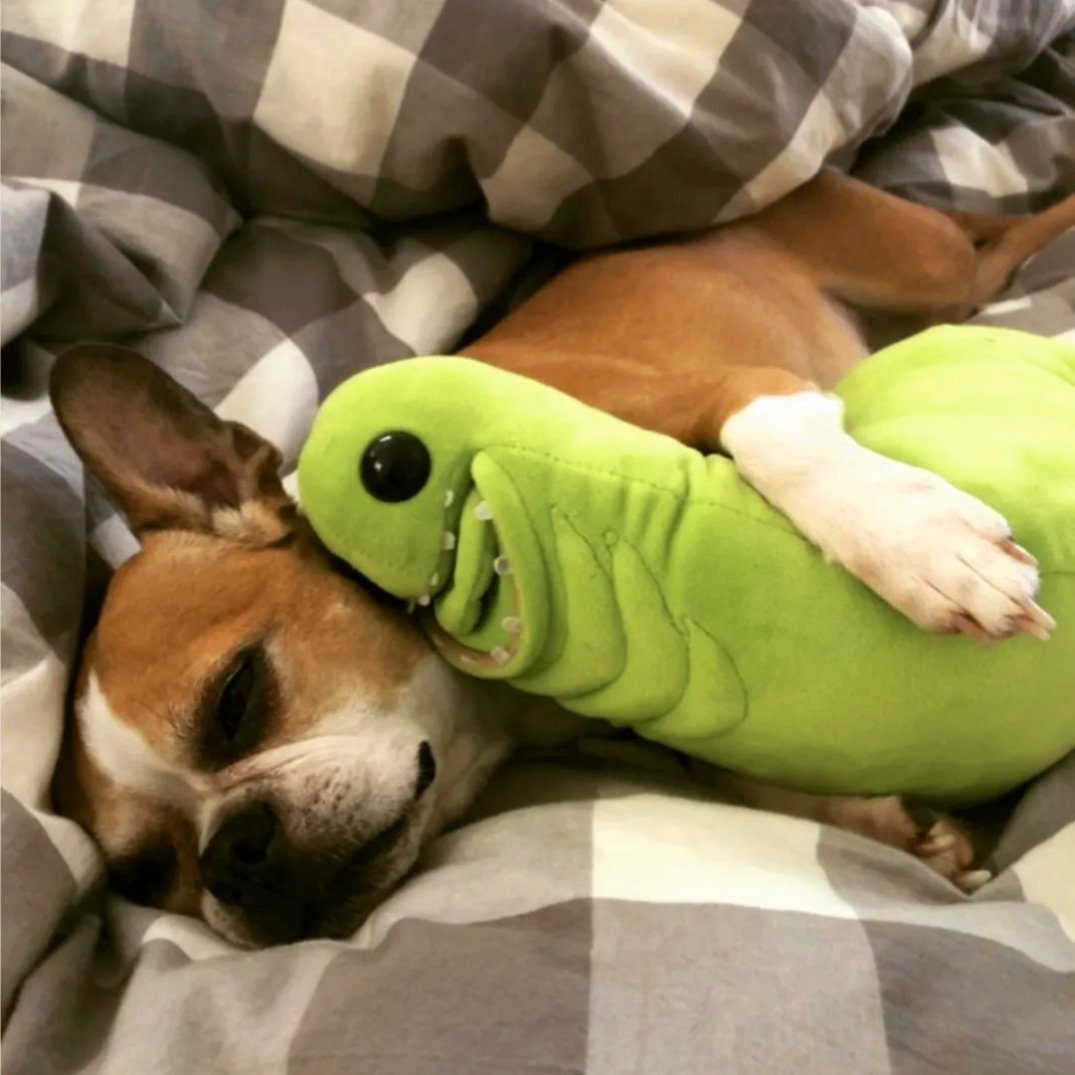 The Official BUNCHIES© Plushie! - Etsy