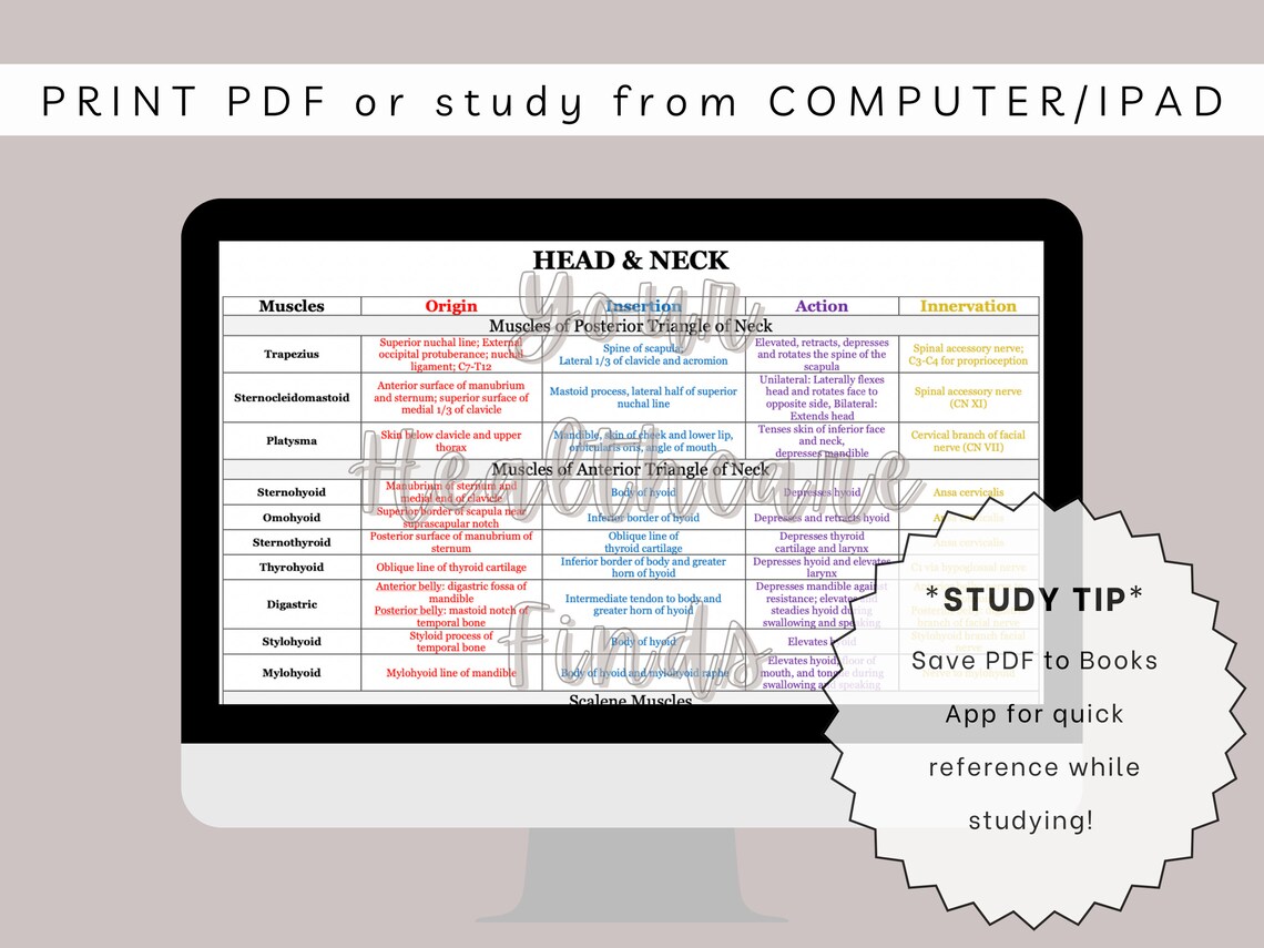 Anatomy Muscle Charts Study Guide | Medical Student Notes (PDF Download ...