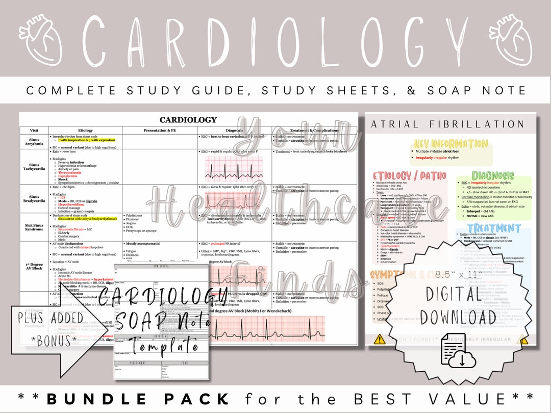 Cardiology Activity Sheets Pdf