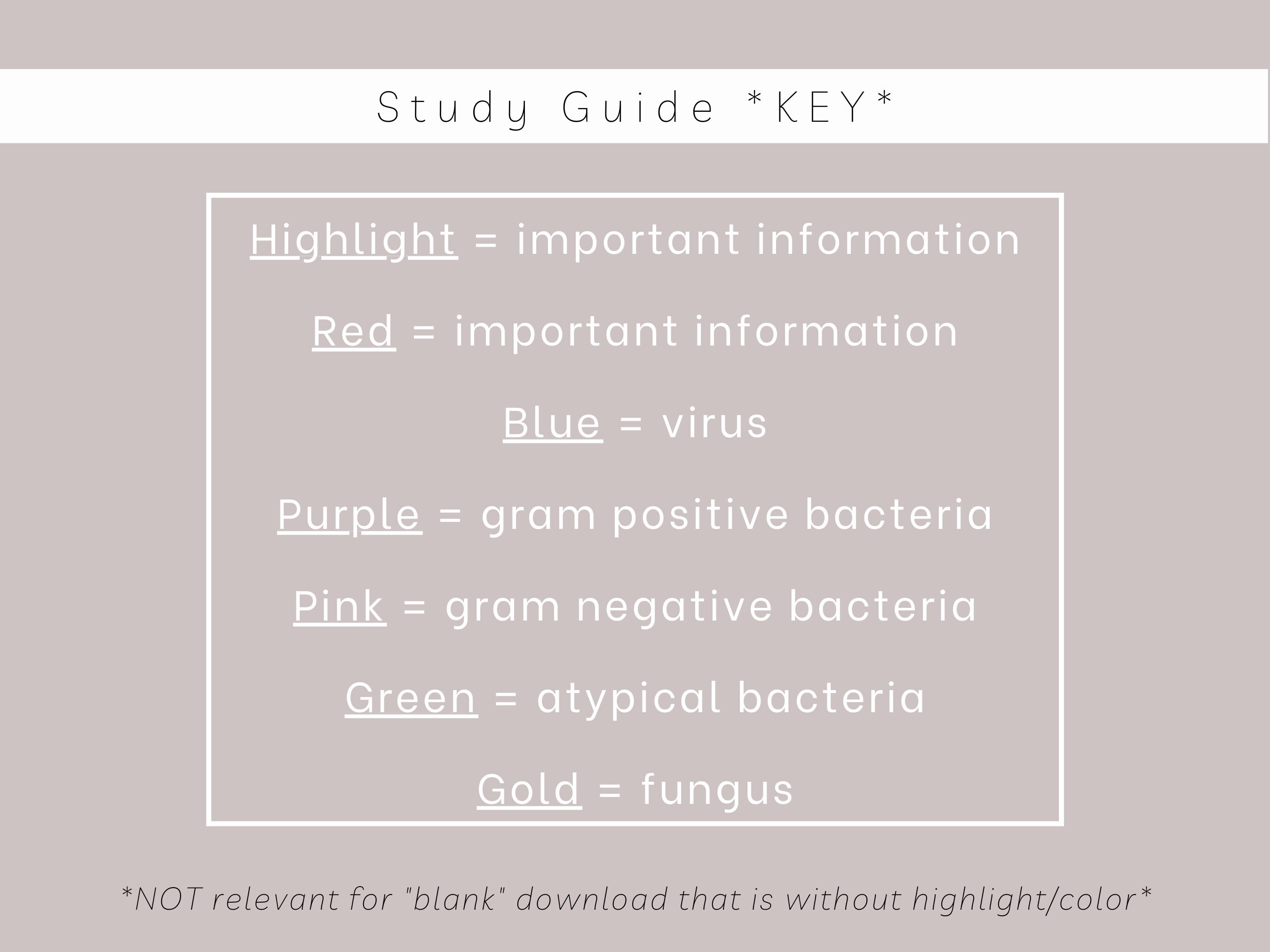 Orthopedics Complete Bundle Study Guide and Sheets Physician Assistant ...