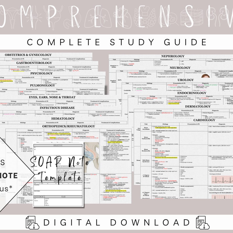 Medical Assistant Study Guide - Etsy