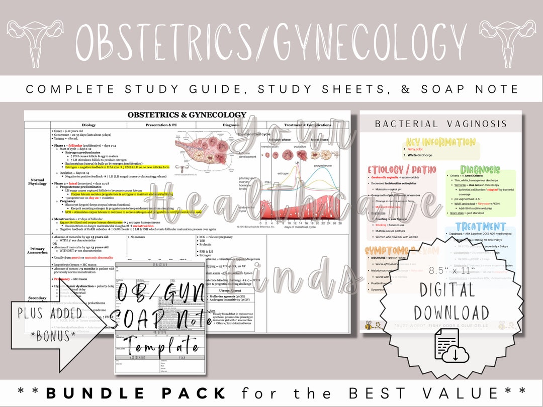 Obstetrics / Gynecology Bundle - Complete Study Guide and Sheets ...