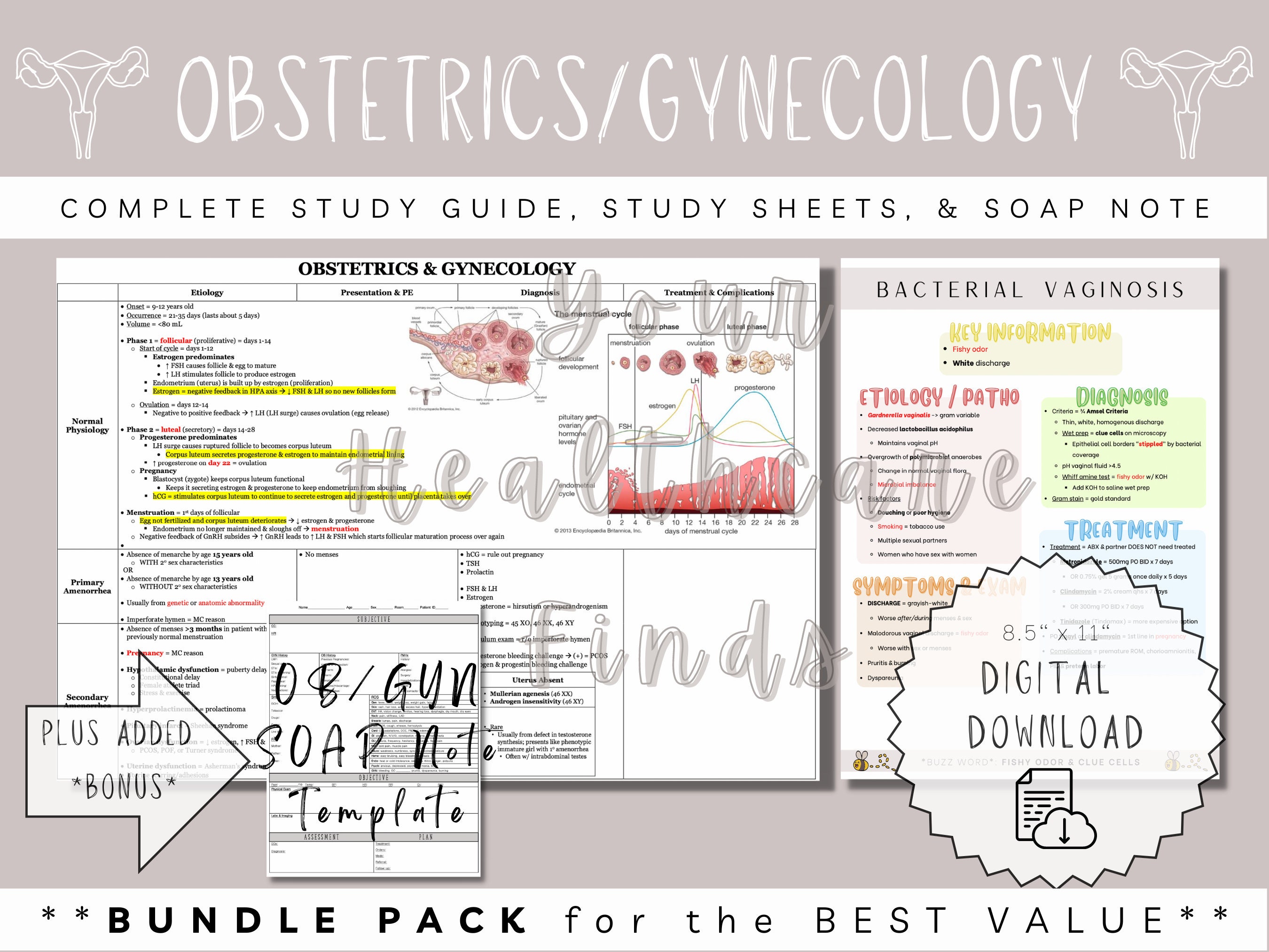 Obstetrics / Gynecology Bundle - Complete Study Guide and Sheets ...
