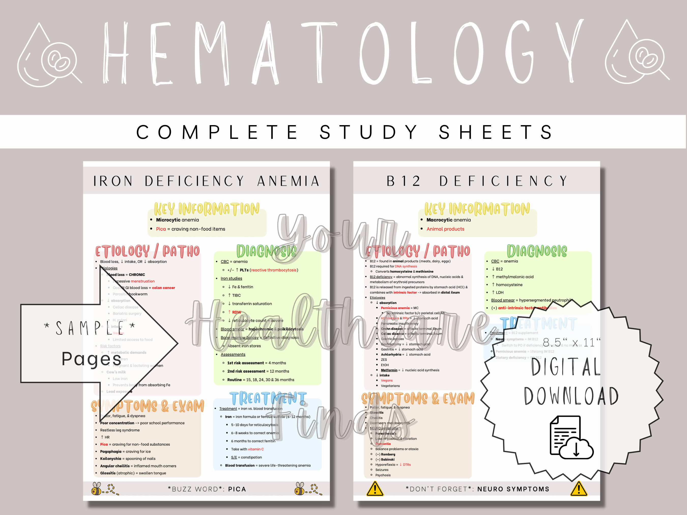Hematology Complete Study Sheets Study Guide Study Notes Physician ...