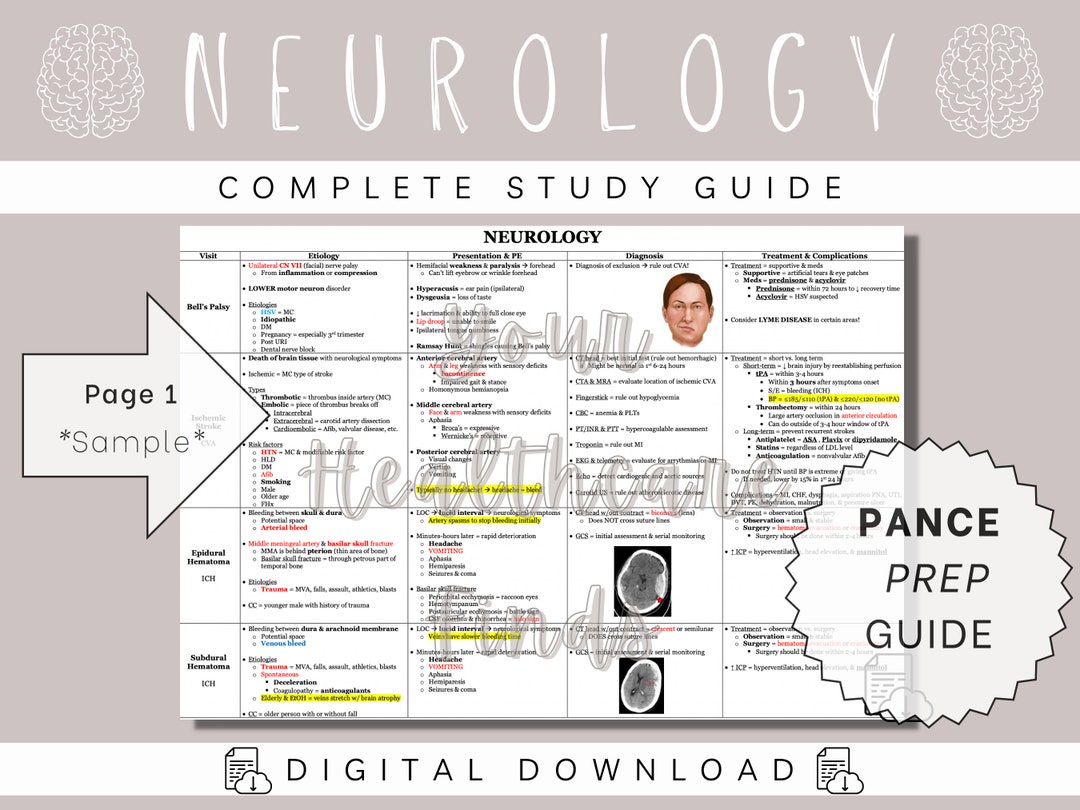 Neurology Study Guide (digital Download) - Etsy