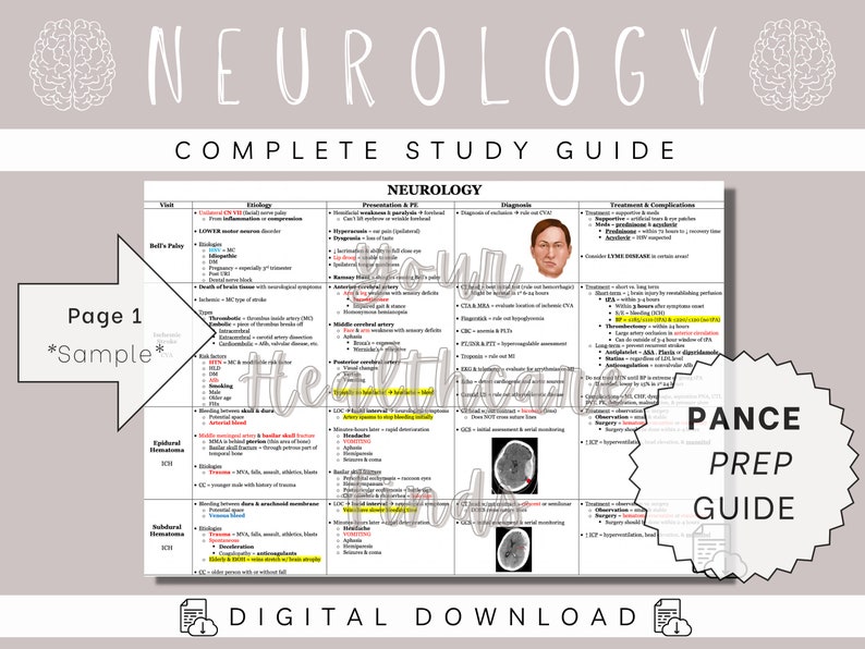 Neurology Study Guide (digital Download) - Etsy