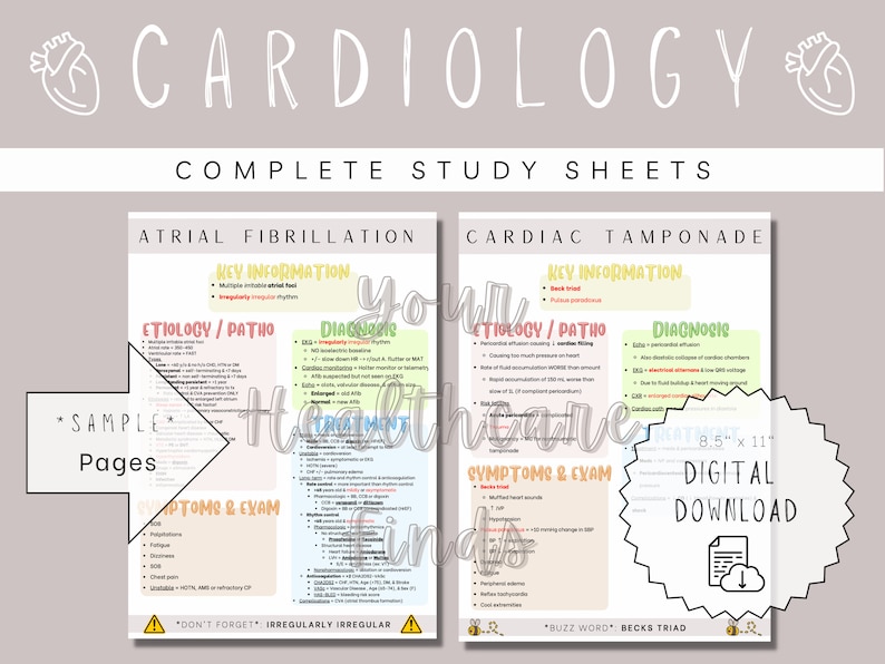 Cardiology Study Sheets (digital Download) - Etsy