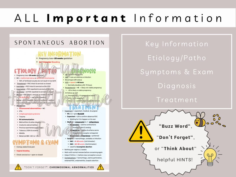 OBGYN Study Guide Bundle – Nursing, Med, PA School (digital Download ...