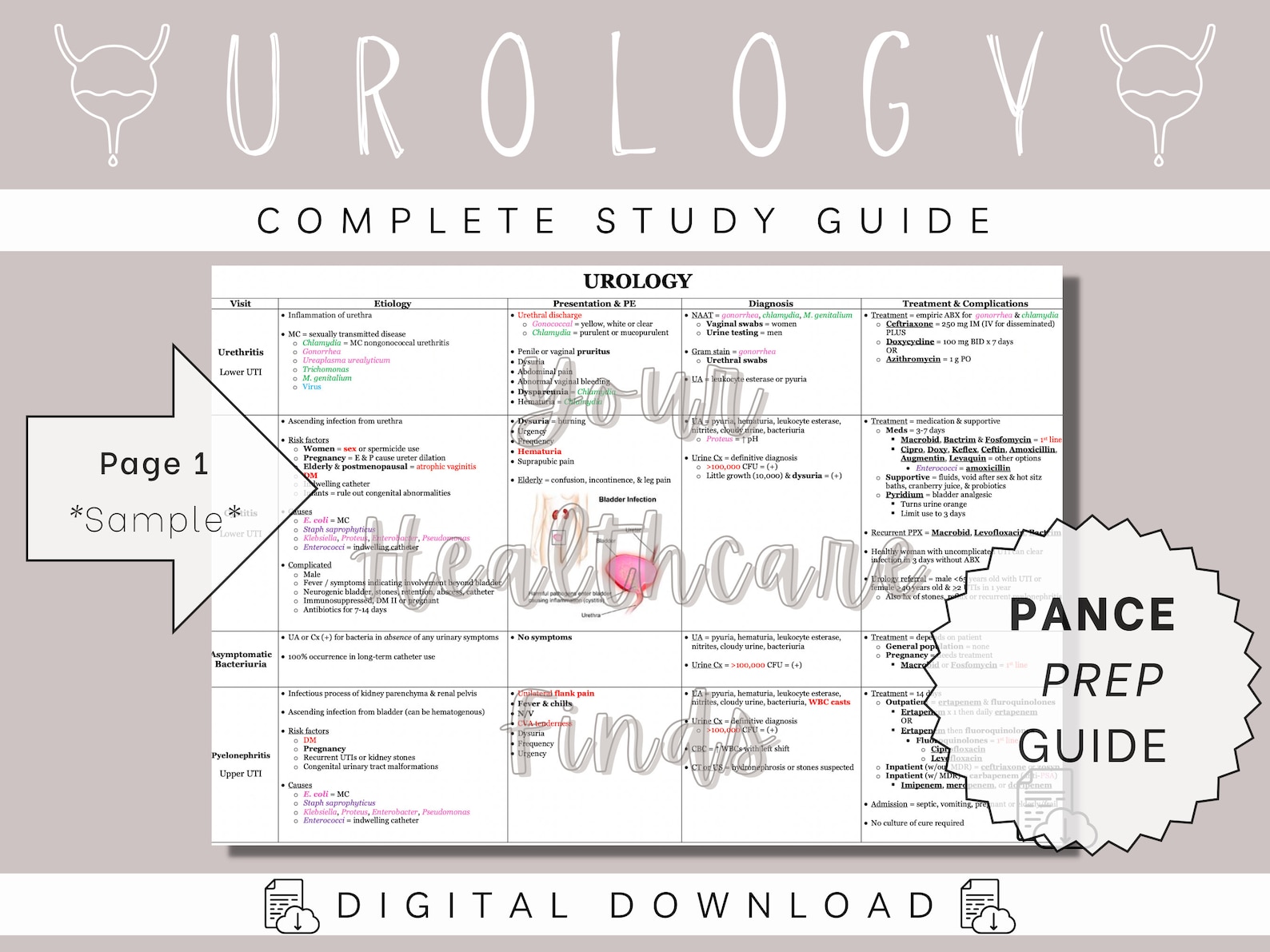 Urology Complete Study Guide | Study Guide | Study Notes | Physician ...