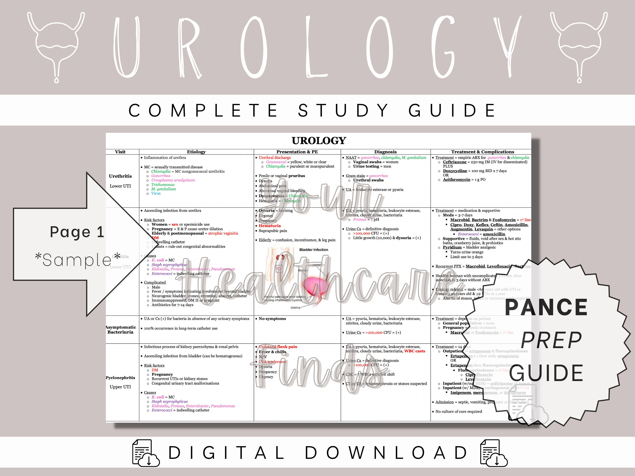 Urology Complete Study Guide | Study Guide | Study Notes | Physician ...