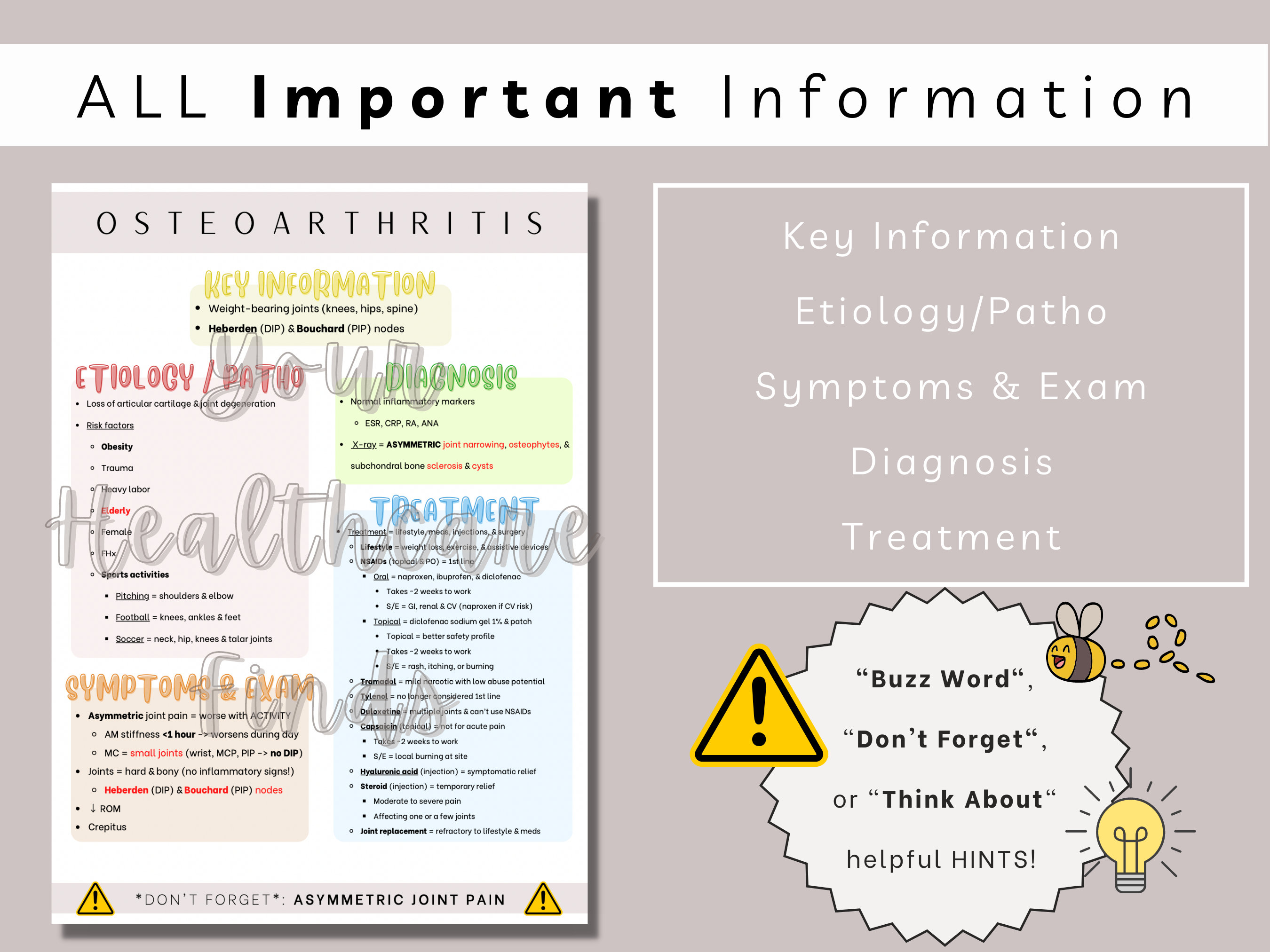Orthopedics Complete Bundle - Study Guide and Sheets | Physician ...