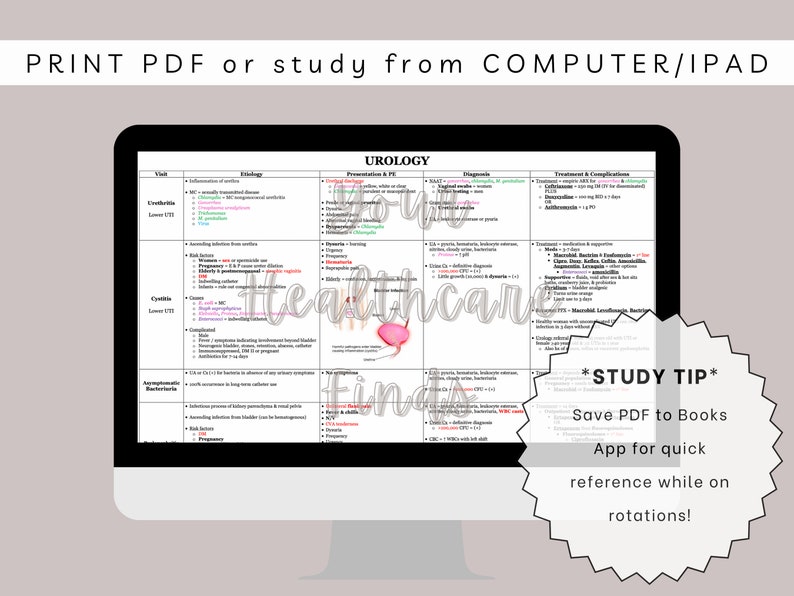 Urology Complete Study Guide | Study Guide | Study Notes | Physician ...
