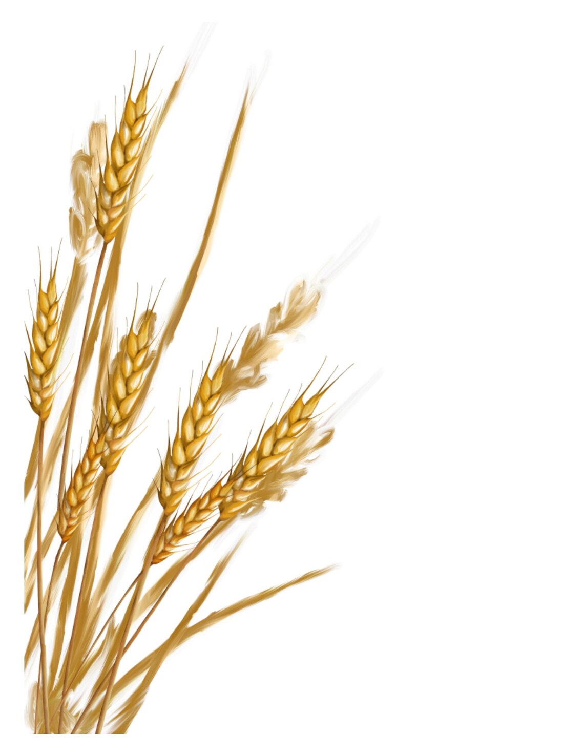 Wheat Print | Printable Wall Art | Digital Download | Wall Decor | Fall ...