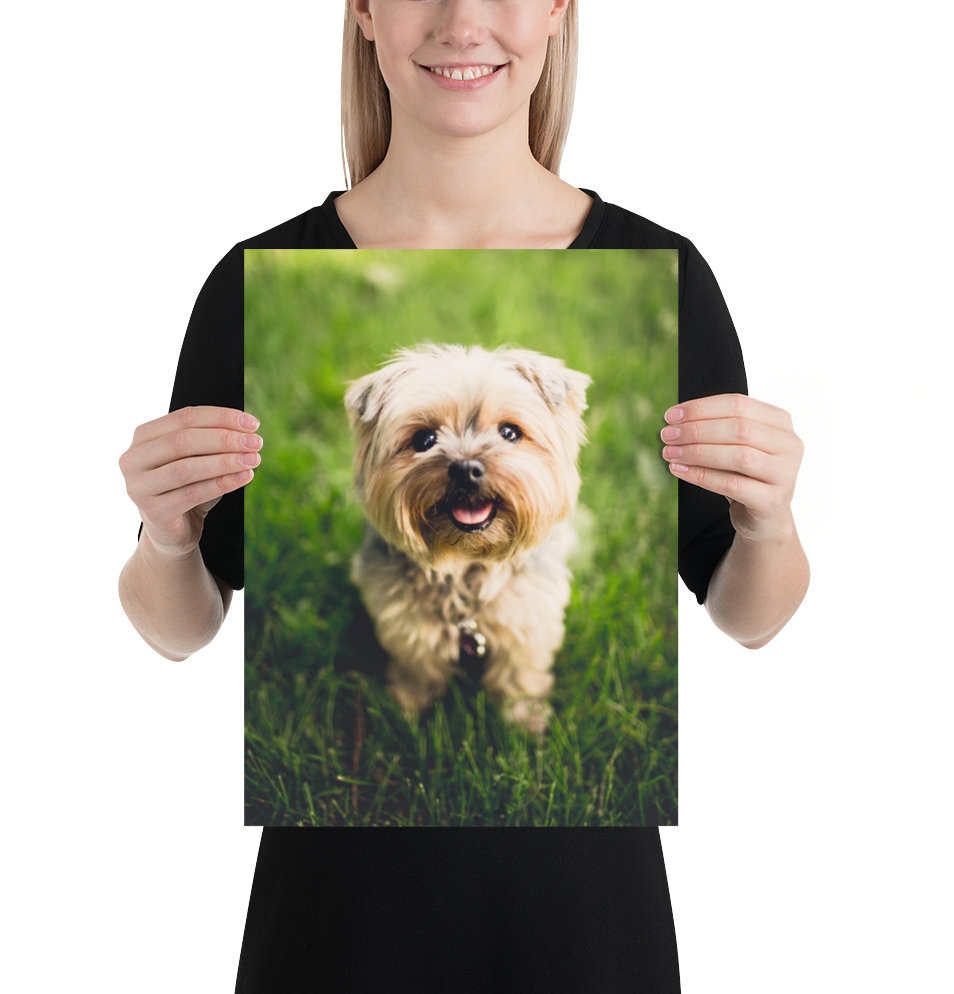 Puppy Poster 001 - Etsy