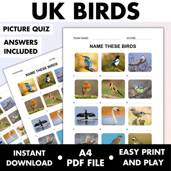 Bird Identification Quiz Uk