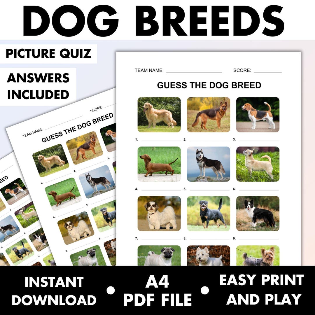 Guess the Dog Breed Picture Quiz • Dogs Breeds Picture Round Pub Quiz ...