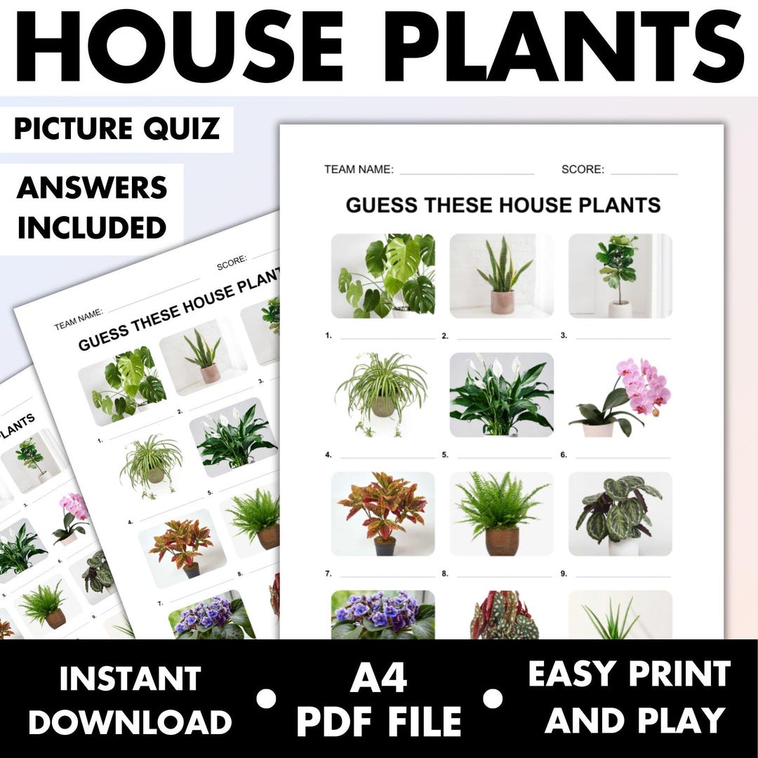 House Plants Picture Round • Pub Quiz Picture Trivia • House Plants ...