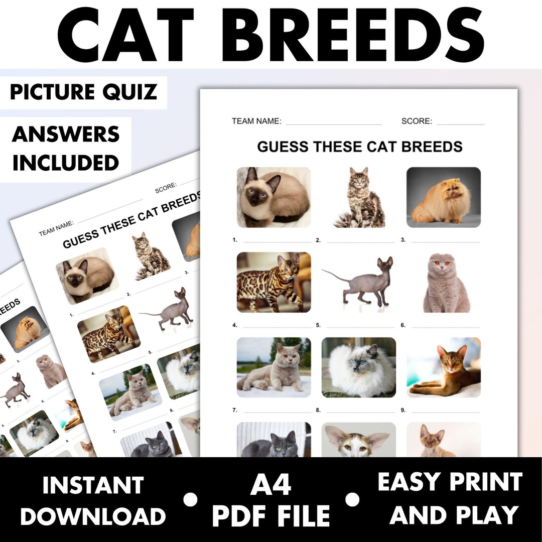 Cat Breeds Picture Quiz • Cat Parent Cats Birthday Game Night • Pub ...