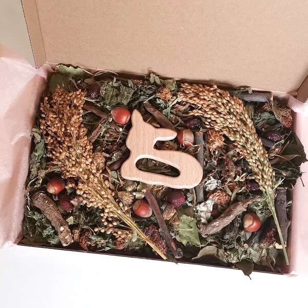 Hamster Forage Box - Etsy UK