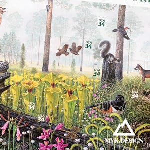 longleaf pine forest stamps