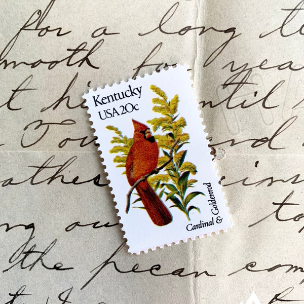 Kentucky State Bird - Etsy