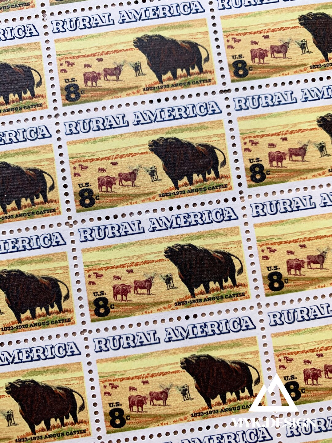 Rural America: Scottish Black Angus Cattle, 100 Years | 1973 | Vintage ...