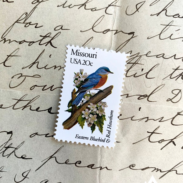 Missouri State Bird - Etsy