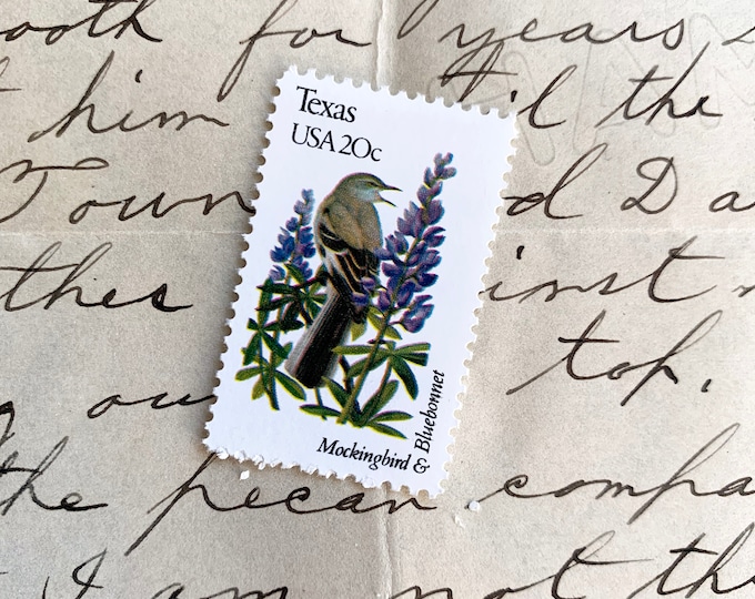 Texas State Bird and Flower: Mockingbird and Bluebonnet 1982 - Etsy
