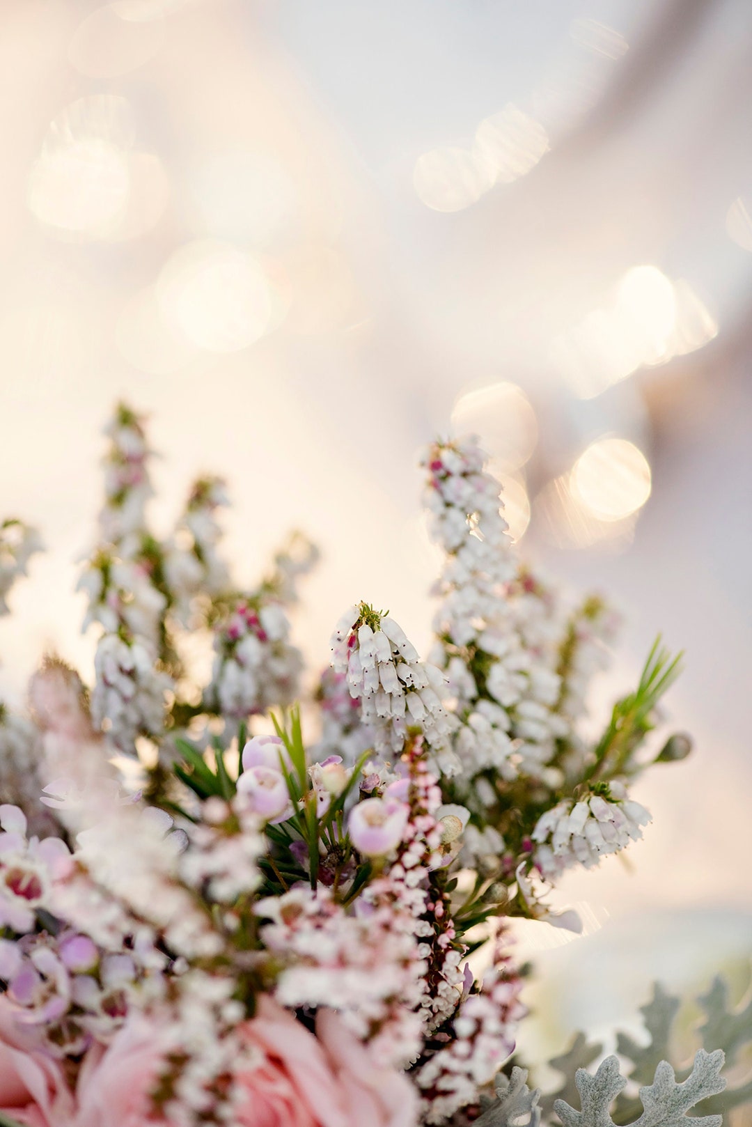 Set of FIVE Botanical Photography Digital Download - Wall Art - Unique ...