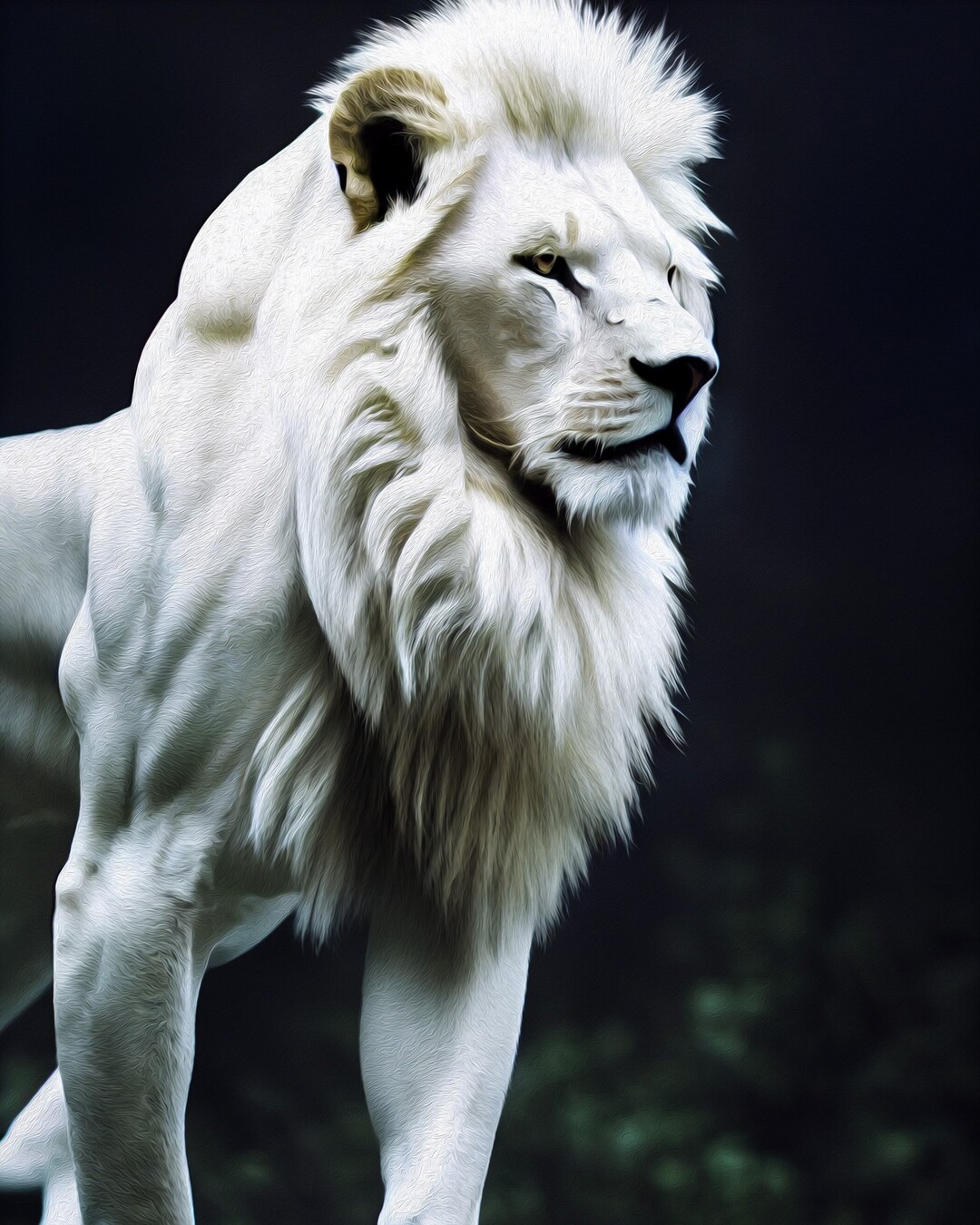 4 Images of Different Felines Big Cats Wild Cats Digital - Etsy