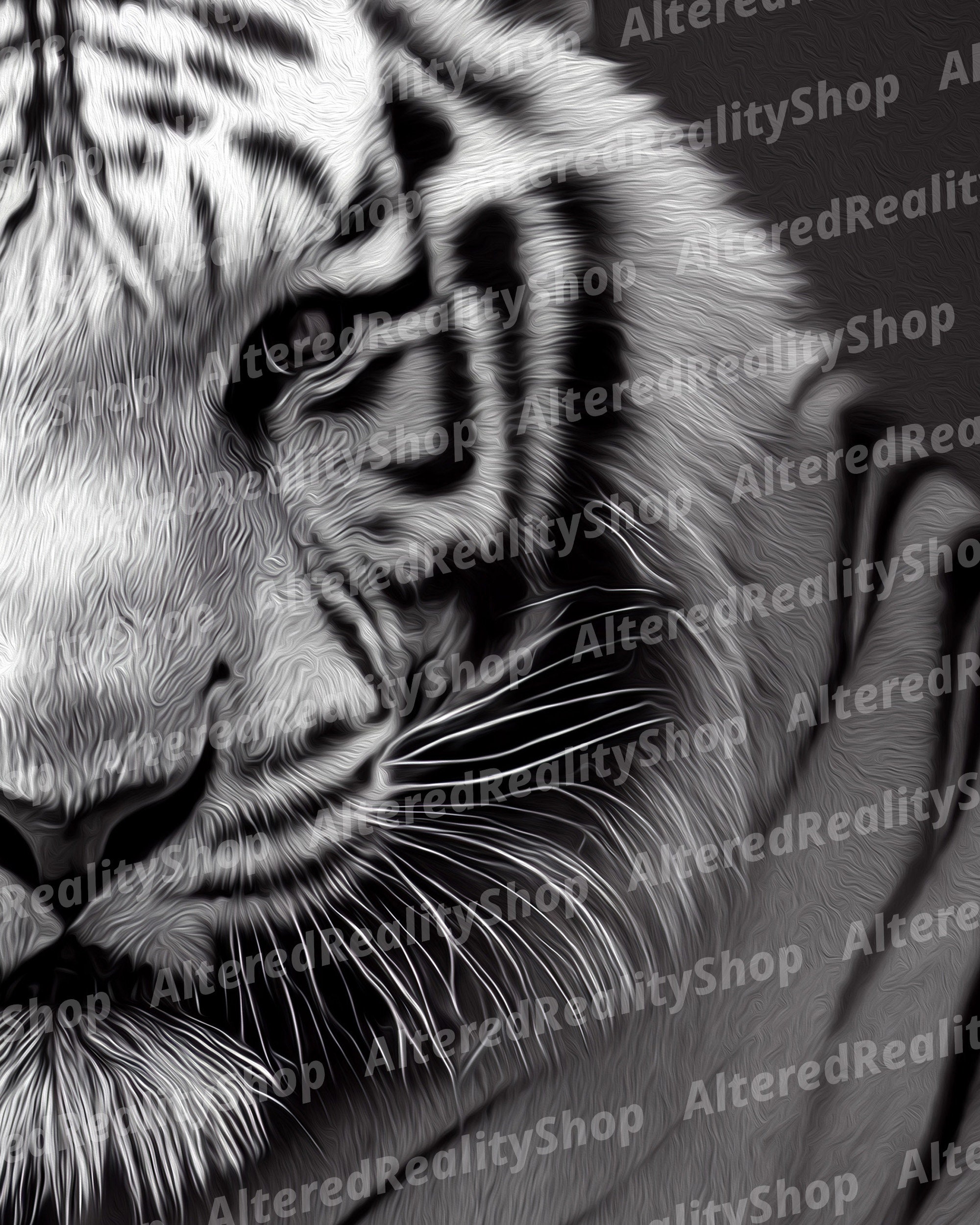 4 Images of Different Felines, Big Cats, Wild Cats, Digital Download - Etsy