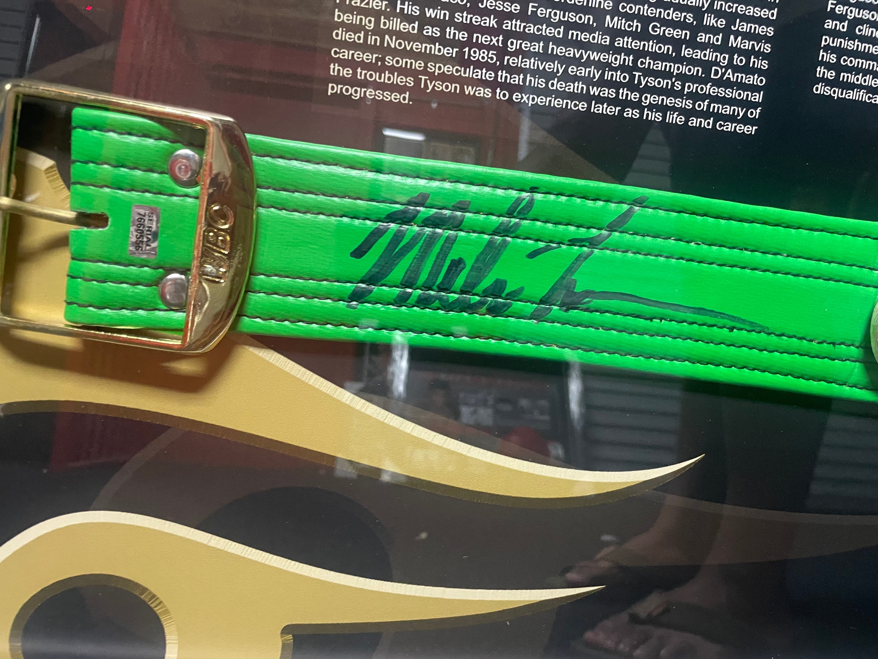Mike Tyson Wbc World Championship Belt Mike Tyson Framed and Signed - Etsy