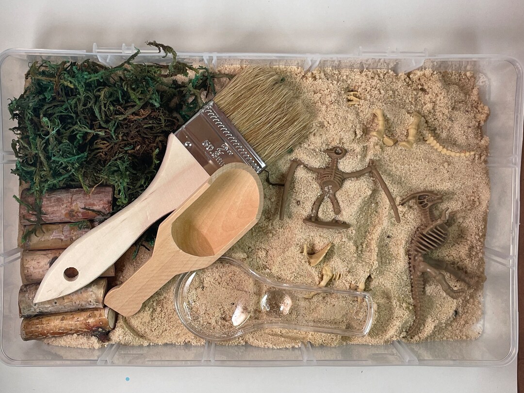 Dinosaur Discovery Sensory Box - Etsy