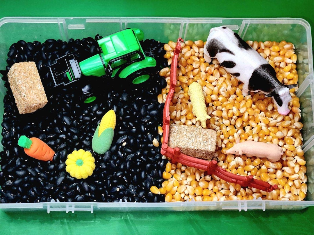 Farm Themed Sensory Box - Etsy