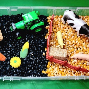 Farm Themed Sensory Box - Etsy