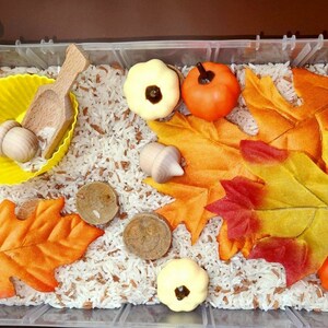 Fall Themed Sensory Box - Etsy