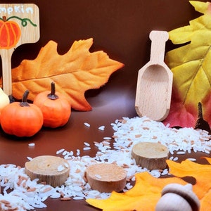 Fall Themed Sensory Box - Etsy