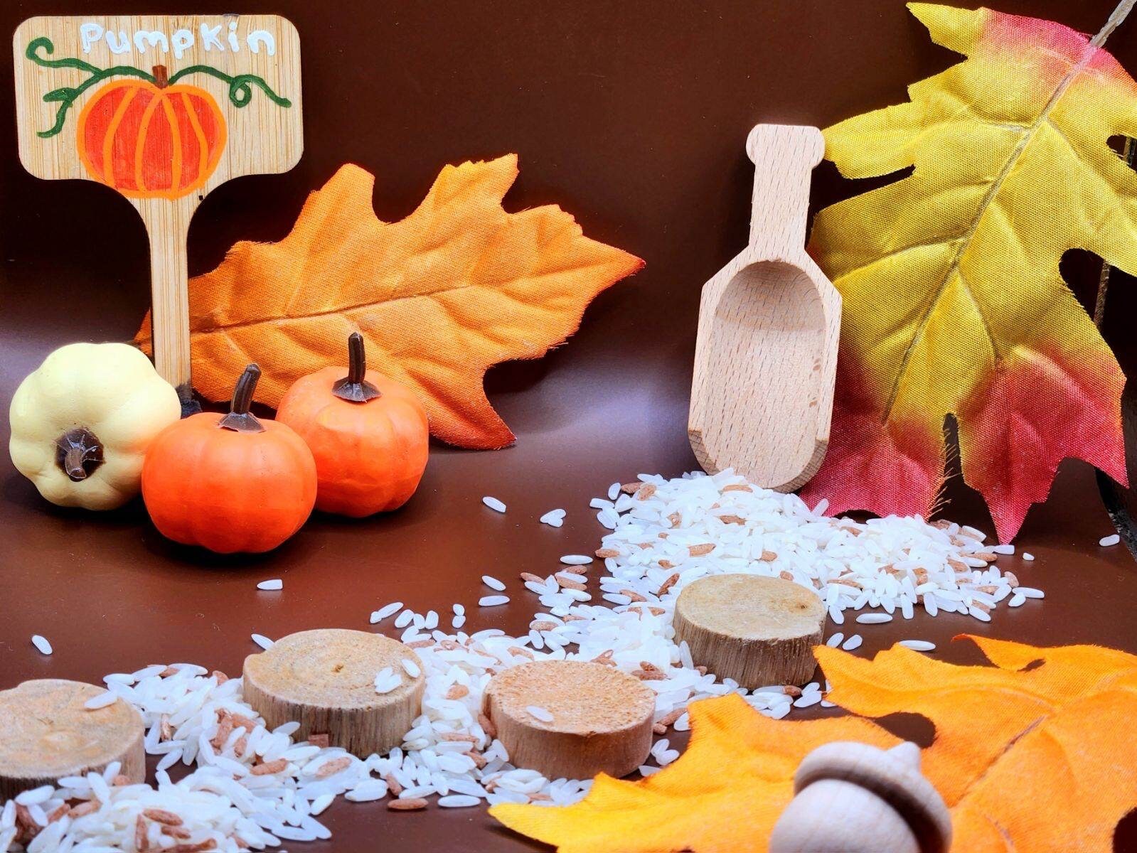 Fall Themed Sensory Box - Etsy